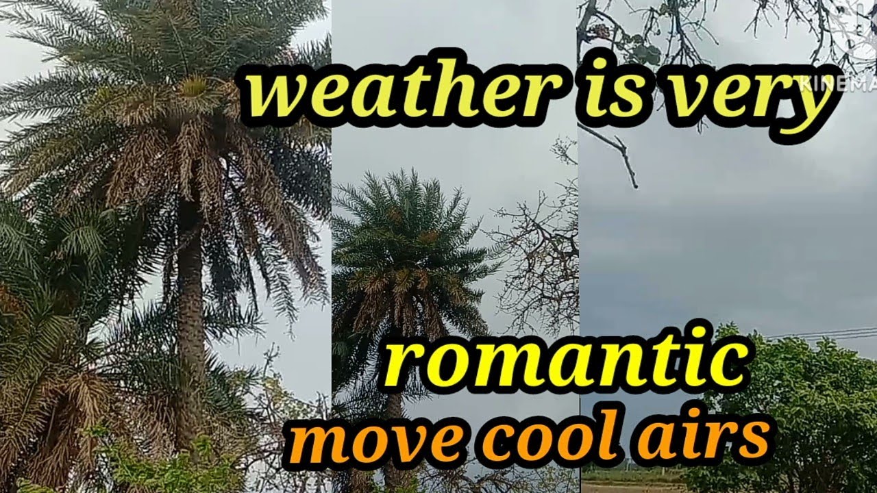 Weather is romantic today and so cool wind flowing. - YouTube
