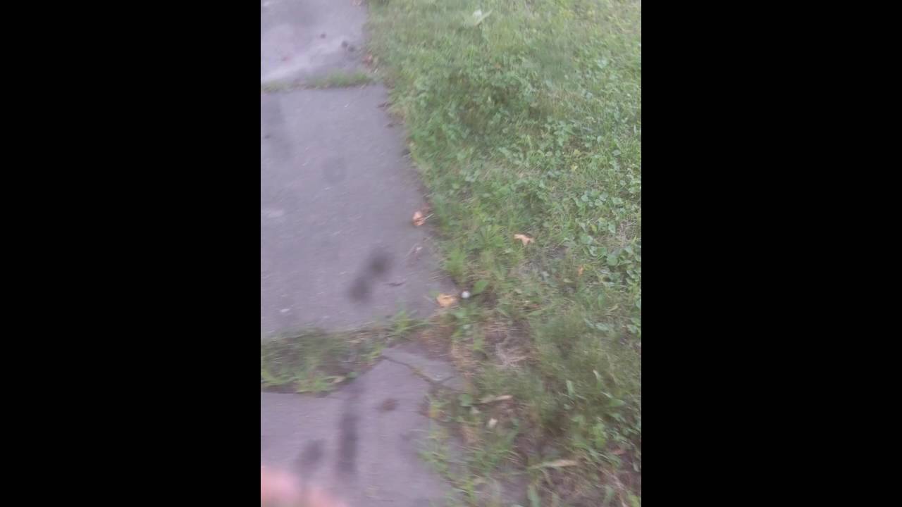 Sidewalk poop prank - YouTube