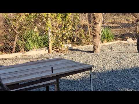 ek23 2022 havai fiseng zirpaket