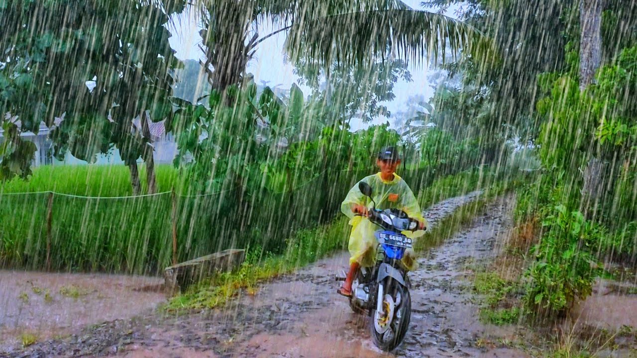 heavy rain poured down on our village, walking around to see the ...