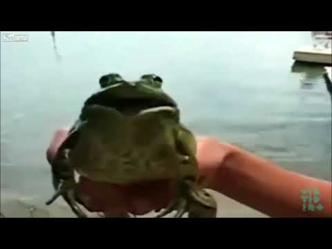 REEEEEEEEEEEEEEEEEEEEEEEEE. - YouTube