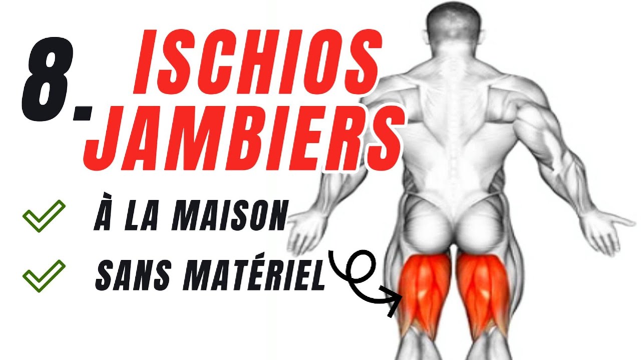 8. exercices ischio-jambiers | programme musculation maison sans ...