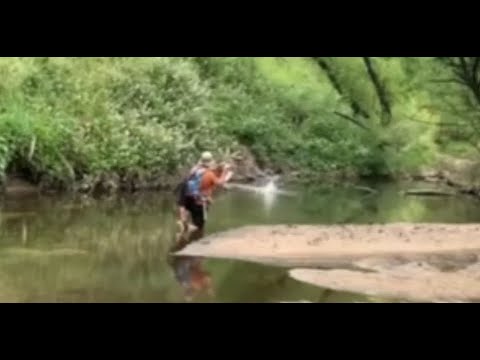 Fly Fishing for wild Brown Trout in small clear streams in Australia ...