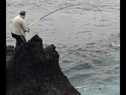 Rock fishing, Pesca Sarago, Pesca na rocha ao sargo , دنيسدنيس الصيد ...