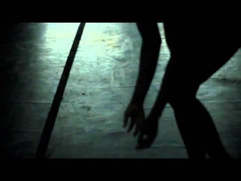 KYOTO EXPERIMENT 2013 - Marcelo Evelin / Demolition Inc.