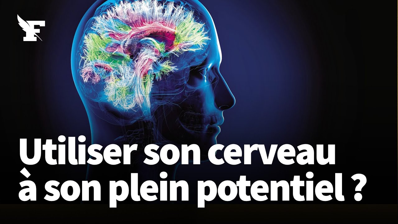 Utilisons-nous vraiment seulement 10% de notre cerveau ? - YouTube
