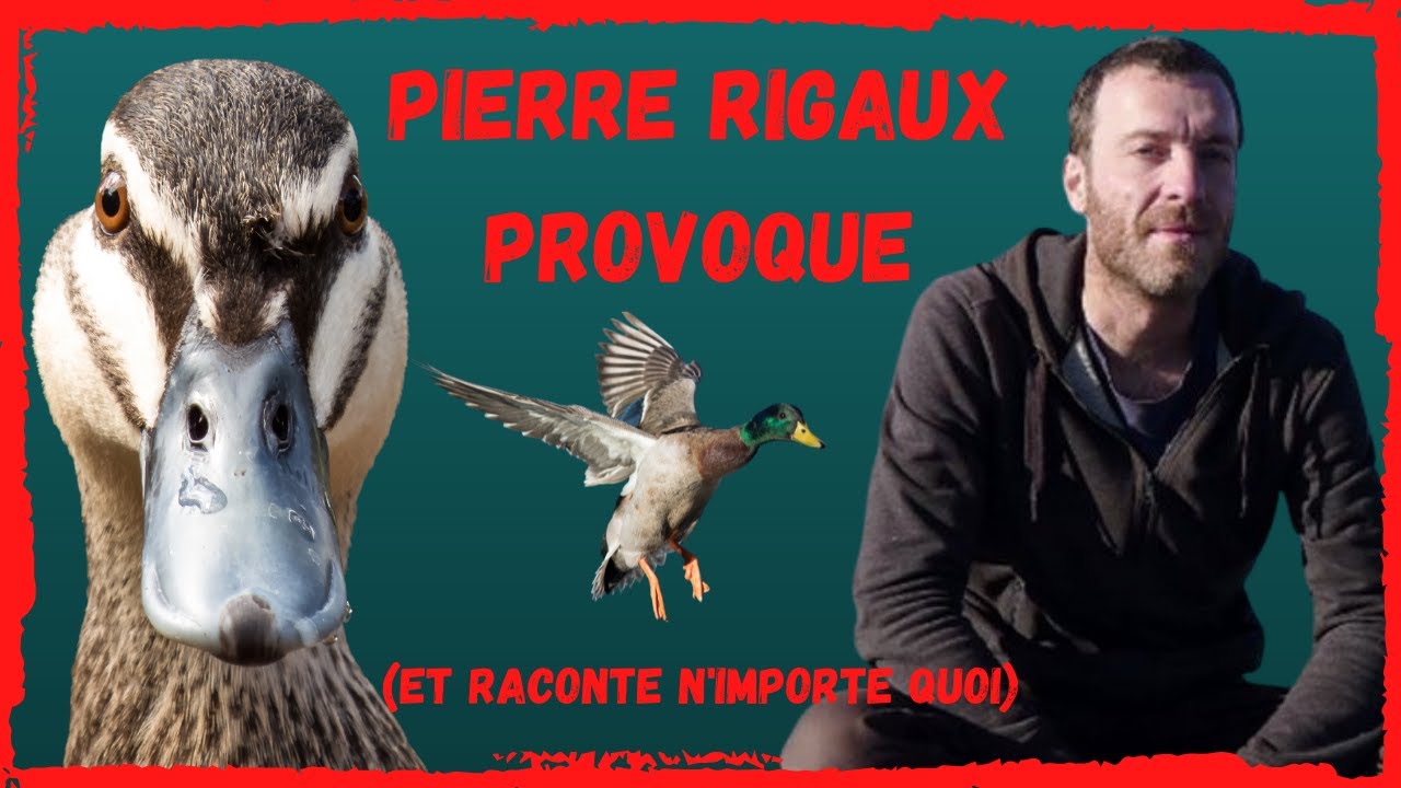 ⛔Pierre Rigaux attaque la chasse du gibier d'eau⛔ - YouTube