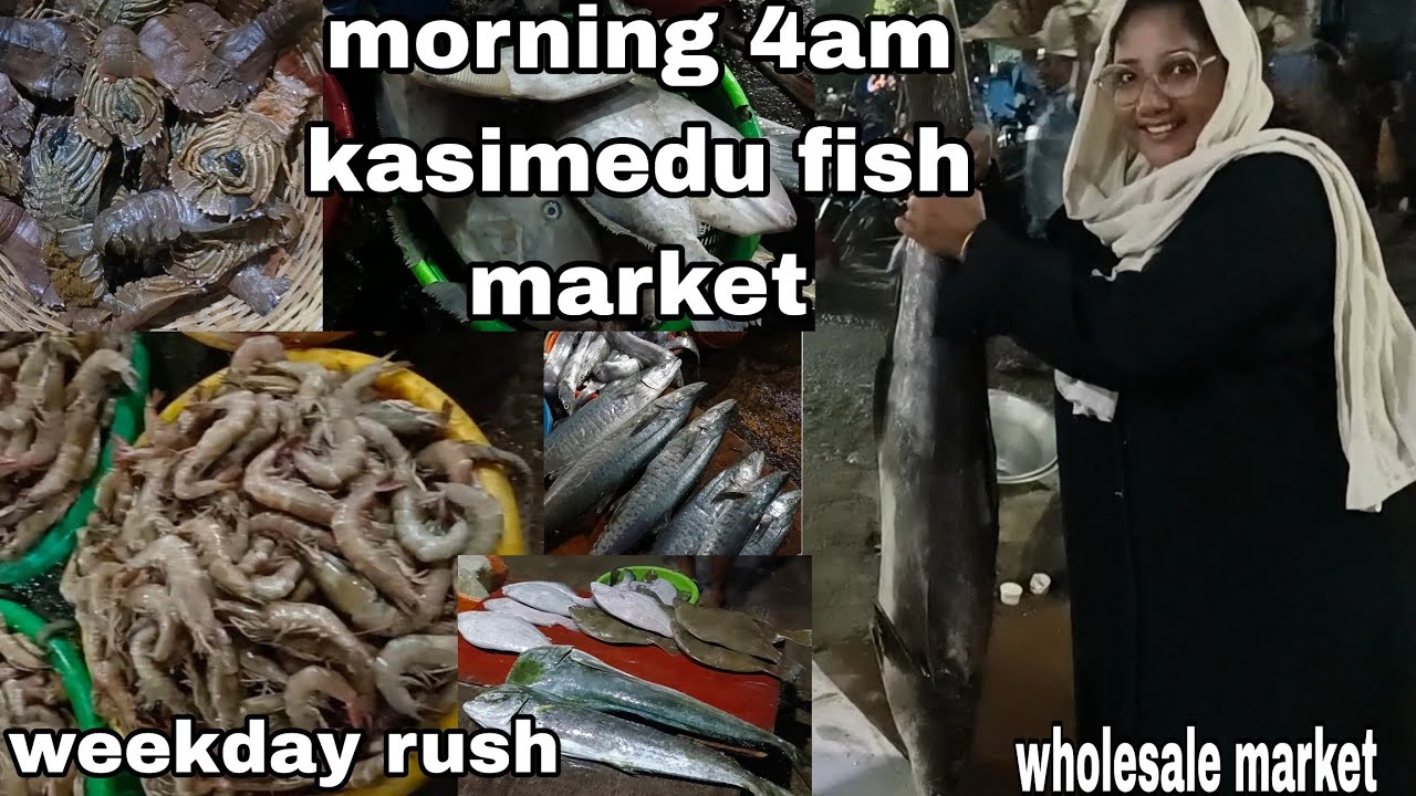 Early morning kasimedu fish market vlog| chennai's wholesale fish ...