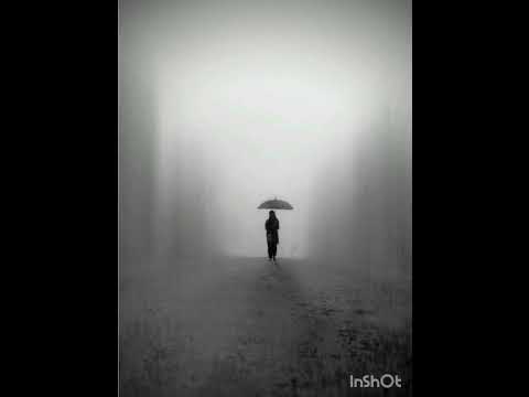 Yalnız Bile Değilim