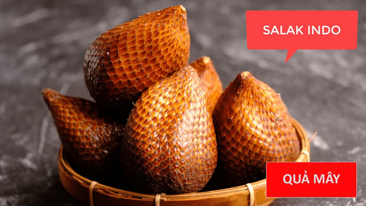 CÂY SALAK INDO [MÂY INDO] ĂN CÓ NGON KHÔNG | SĐT/ZALO: 092.692.2886 ...