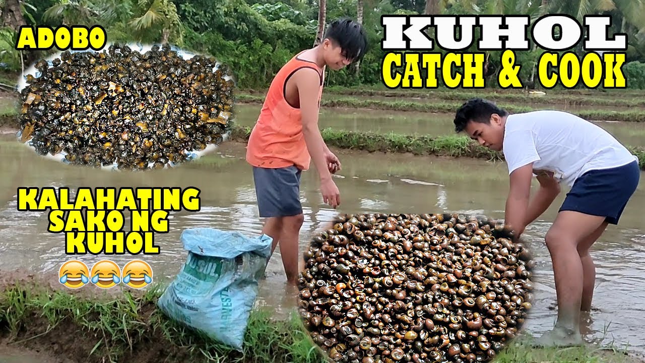 KALAHATING SAKO NG KUHOL/SNAIL ANG NAKUHA SA BUKID | KUHOL CATCH & COOK ...