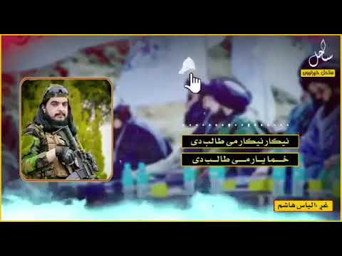 نیګار نیګار مي طالب ده زما یار مي طالب ده Nigar Nigar me talib da  New 2022 Talib Nazam