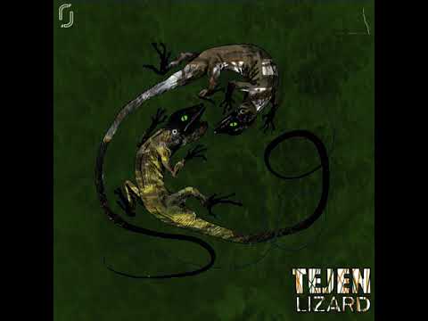 Tejen - Lizard (Original Mix)