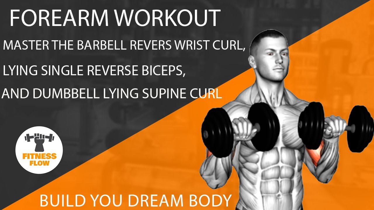 💪Forearm Workout:Barbell Revers Wrist Curl, Lying Single Reverse Biceps ...