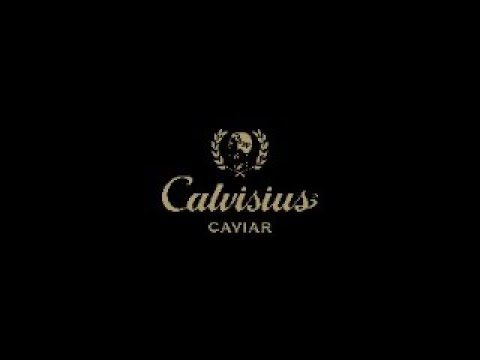 Calvisius Caviar - Made in Italy, Sustainable Caviar - YouTube