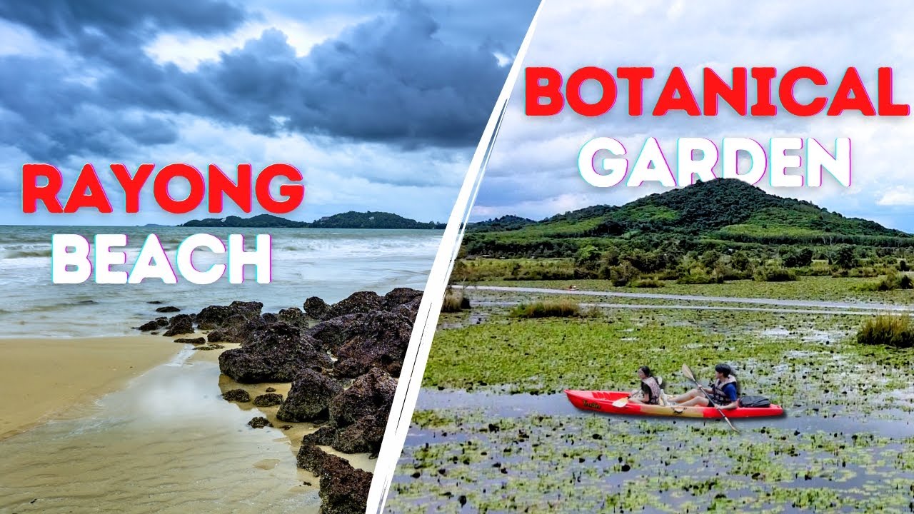 Stroll, Cycle, And Kayak HERE at Rayong Botanical Garden | Thailand ...