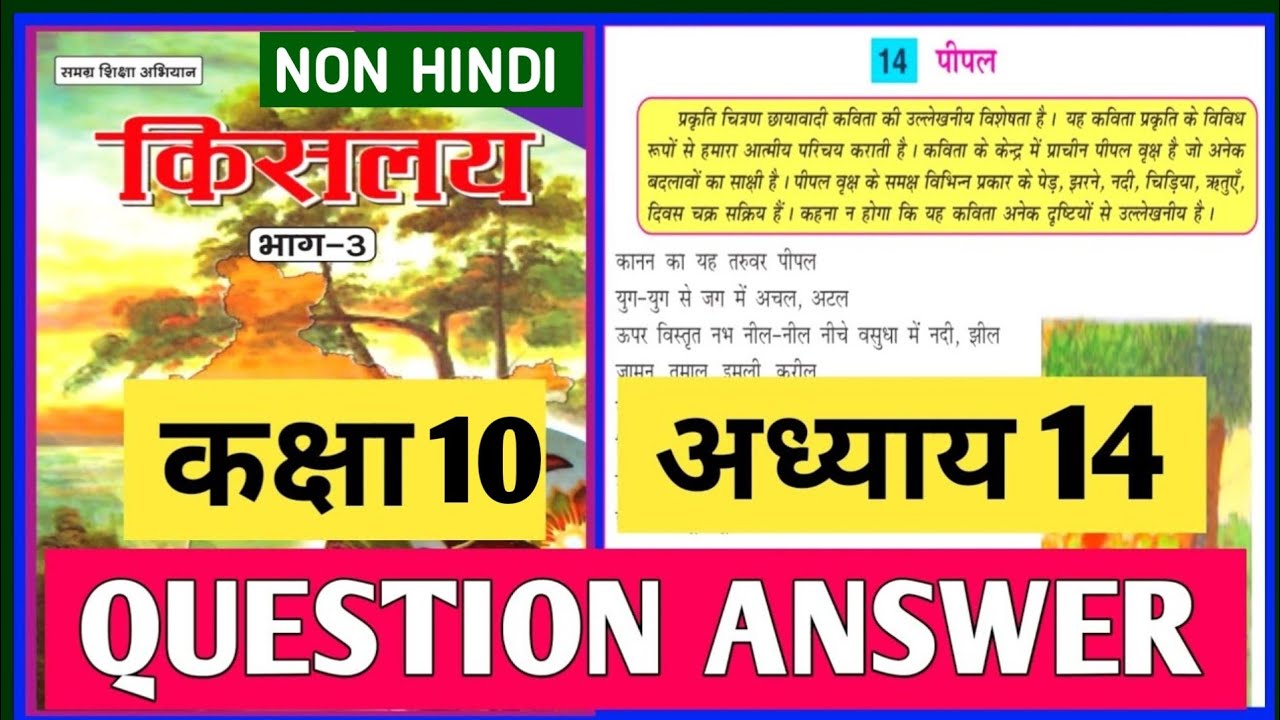 pipal class 8 question answer bihar board | bihar board class 8 hindi ...