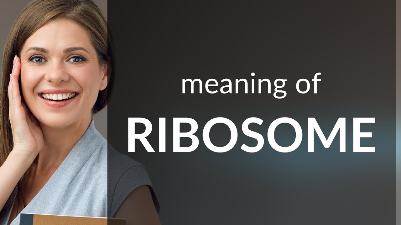 Demystifying "Ribosome": The Protein Factory - YouTube