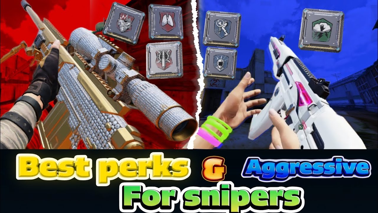 The Only Perks You Need In CODM - YouTube