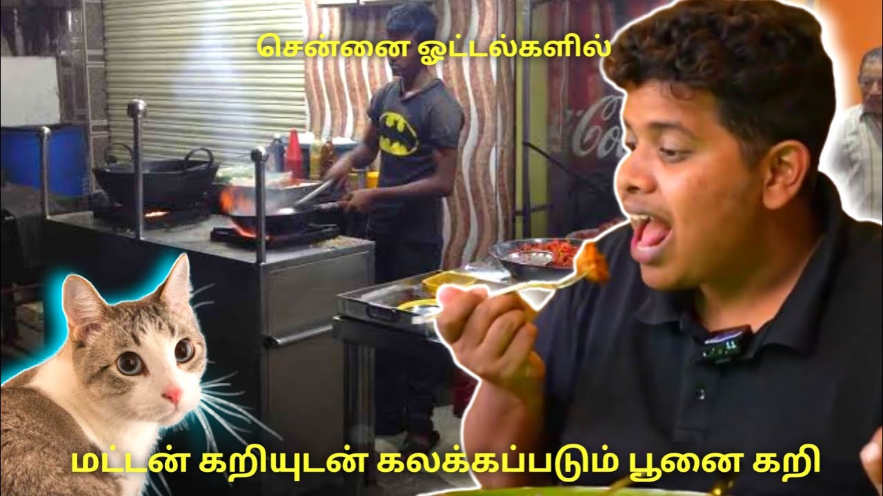🏙சென்னையில் மட்டன்( பூனை ) பிரியாணி🐱 | cat biryani in chennai | cat ...