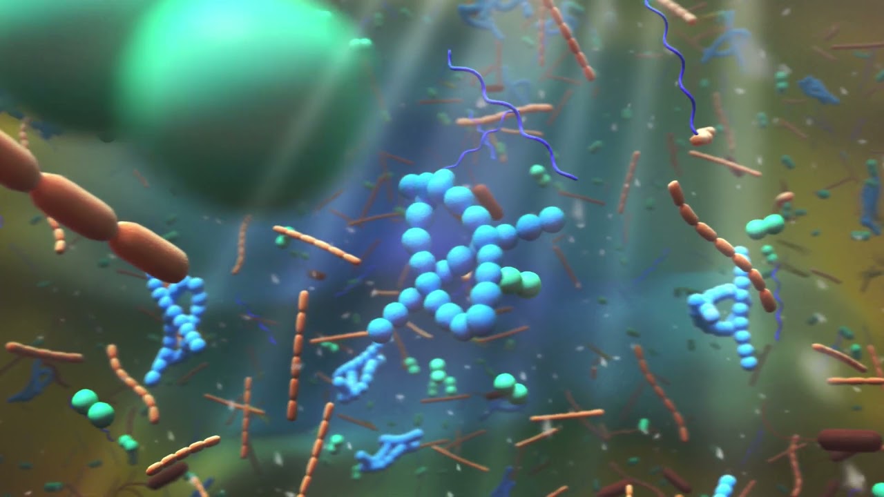 CRISPR diagnostic tools | SHERLOCK | CAS 13 - YouTube