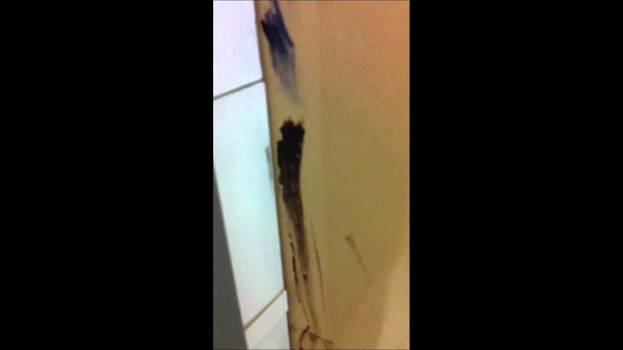 Poop swatches - YouTube