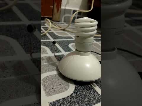 encendido y apagado de foco mediante aplauso. - YouTube