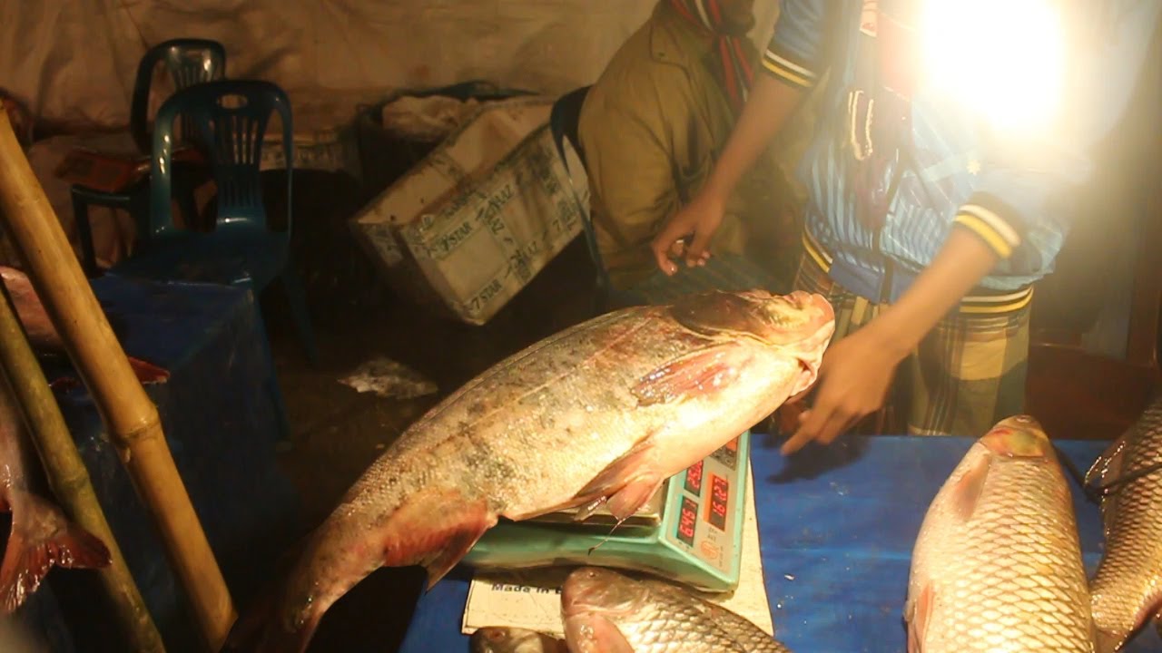 কিশোরগঞ্জে রাতে মাছের হাটে ক্রেতা বিক্রেতার ভিড় ।। Night fish market ...