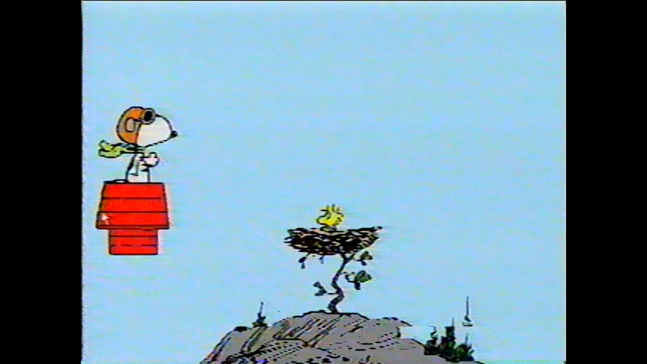 SEPTEMBER 30, 1999 (no name ?!) GETS THE NEW VIDEO CARD - YouTube