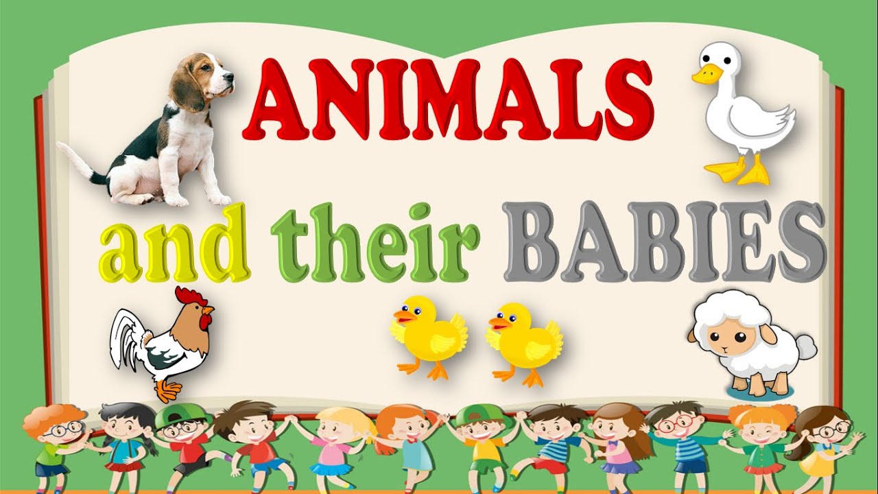 Toddle For Toddlers | Animals and their young ones | Animal Babies ...