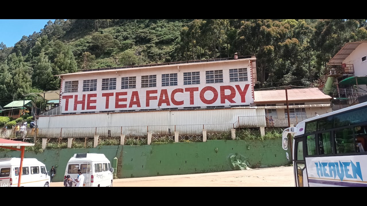 Doddabetta Tea Factory - YouTube