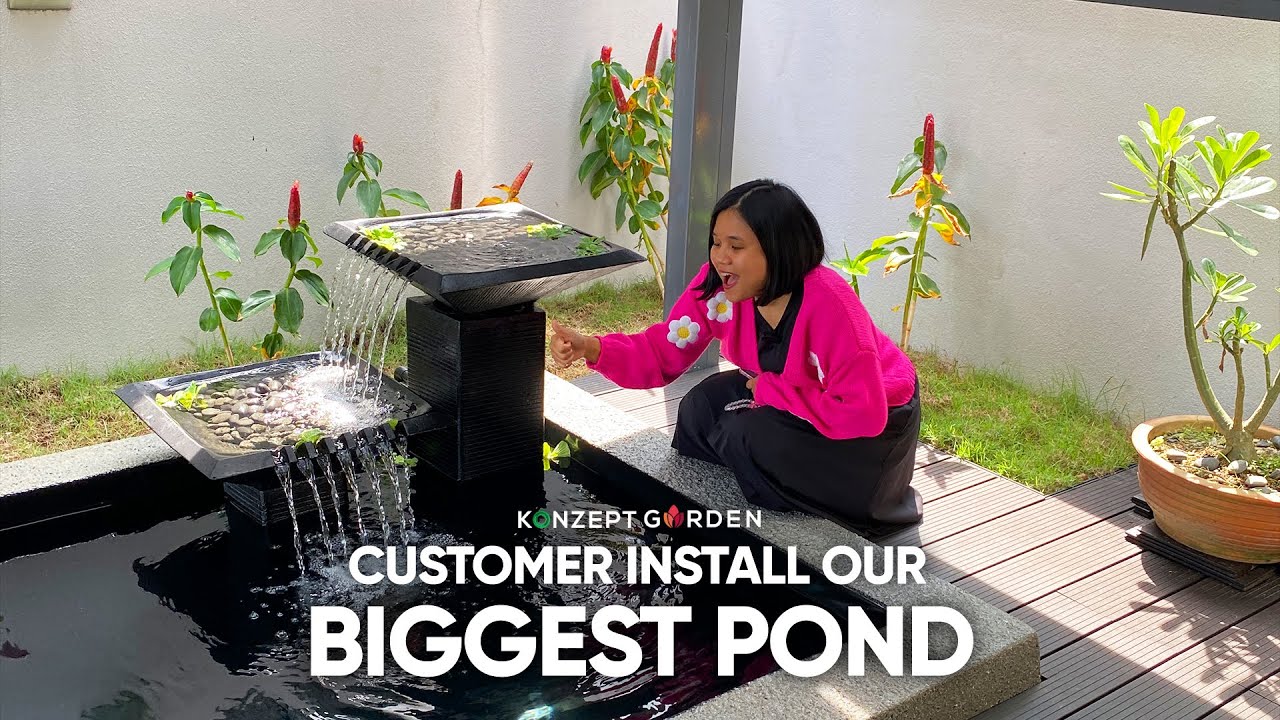 Why go small when we install it big fish pond | Zen Bio Koi Pond - YouTube