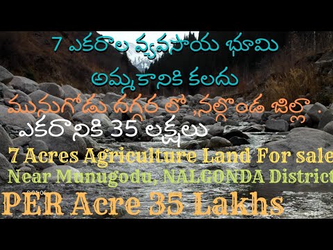 7 Acre of Agriculture Land For Immediately Sale At Telangana || Near Hyderabad || Suitable for Farm