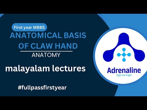 ANATOMICAL BASIS OF CLAW HAND | FULL PASS FIRST YEAR MBBS | ANATOMY ...