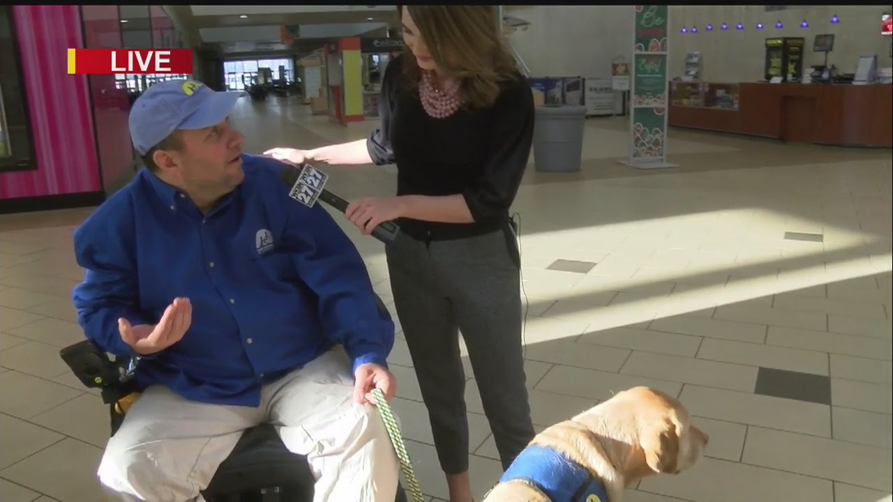 Interview with a service dog owner - YouTube