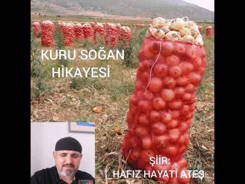 KURU SOĞAN HİKAYESİ _Şiir Hafız Hayati Ateş