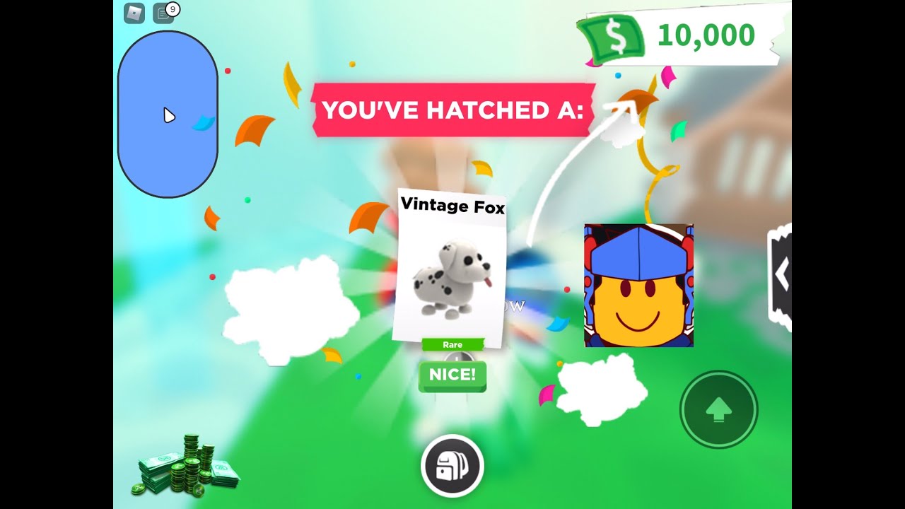 Adopt me custom pets - YouTube