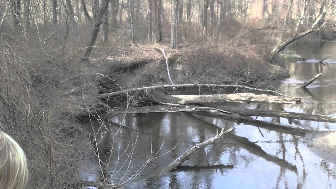 March 31, 2016 - YouTube