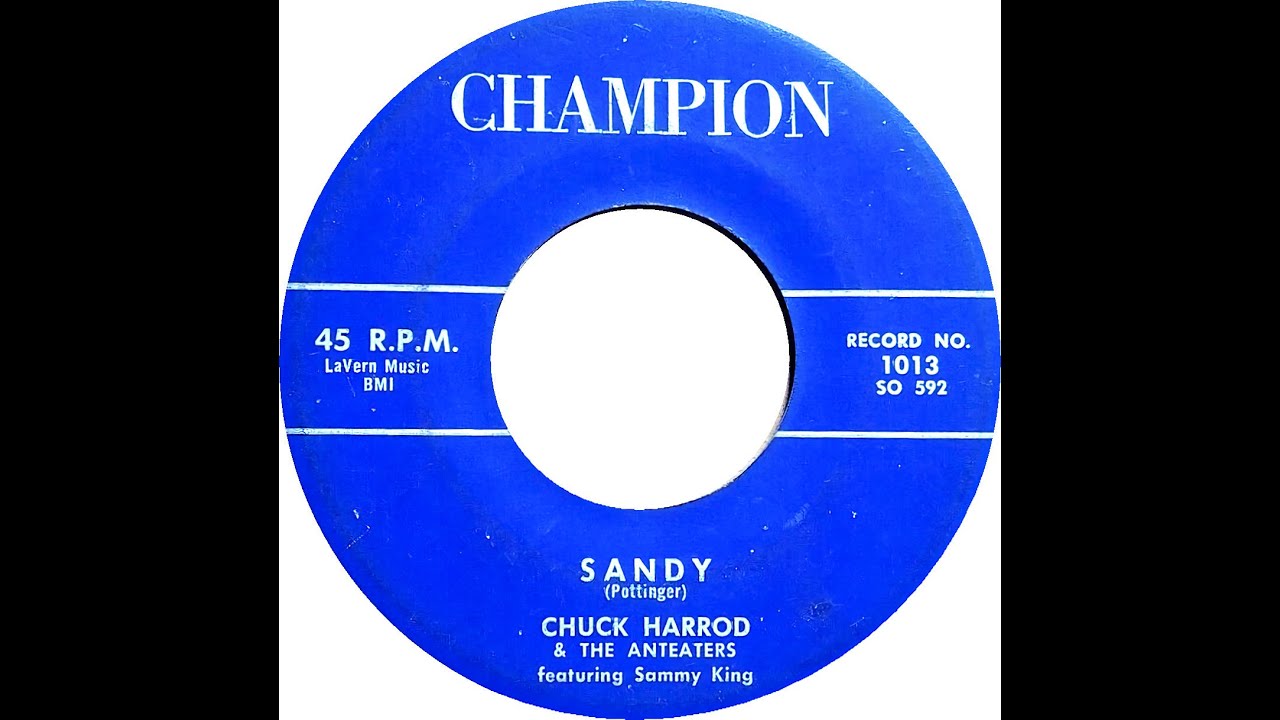 CHUCK HARROD & THE ANTEATERS SANDY - YouTube