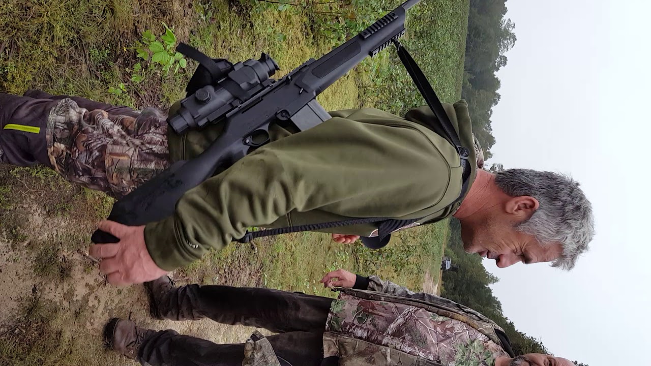 Alabama hog hunting Langford farms - YouTube