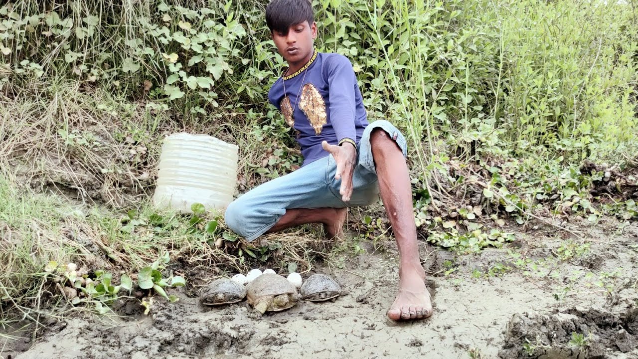 Amezing tortoise🐢|catching the beautiful boy|Vill.boy hang cotching ...