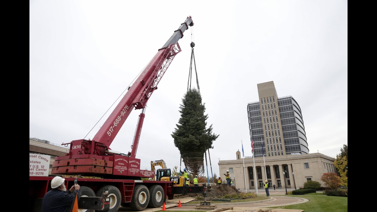 Watch as crews install a 40-foot-tall tree at Consumers Energy ...