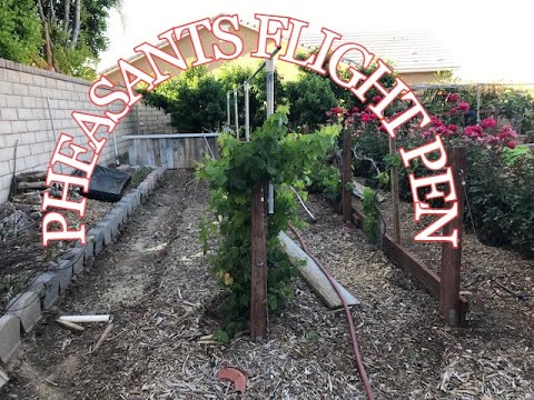 Design and construction of Pheasant flight pen - YouTube