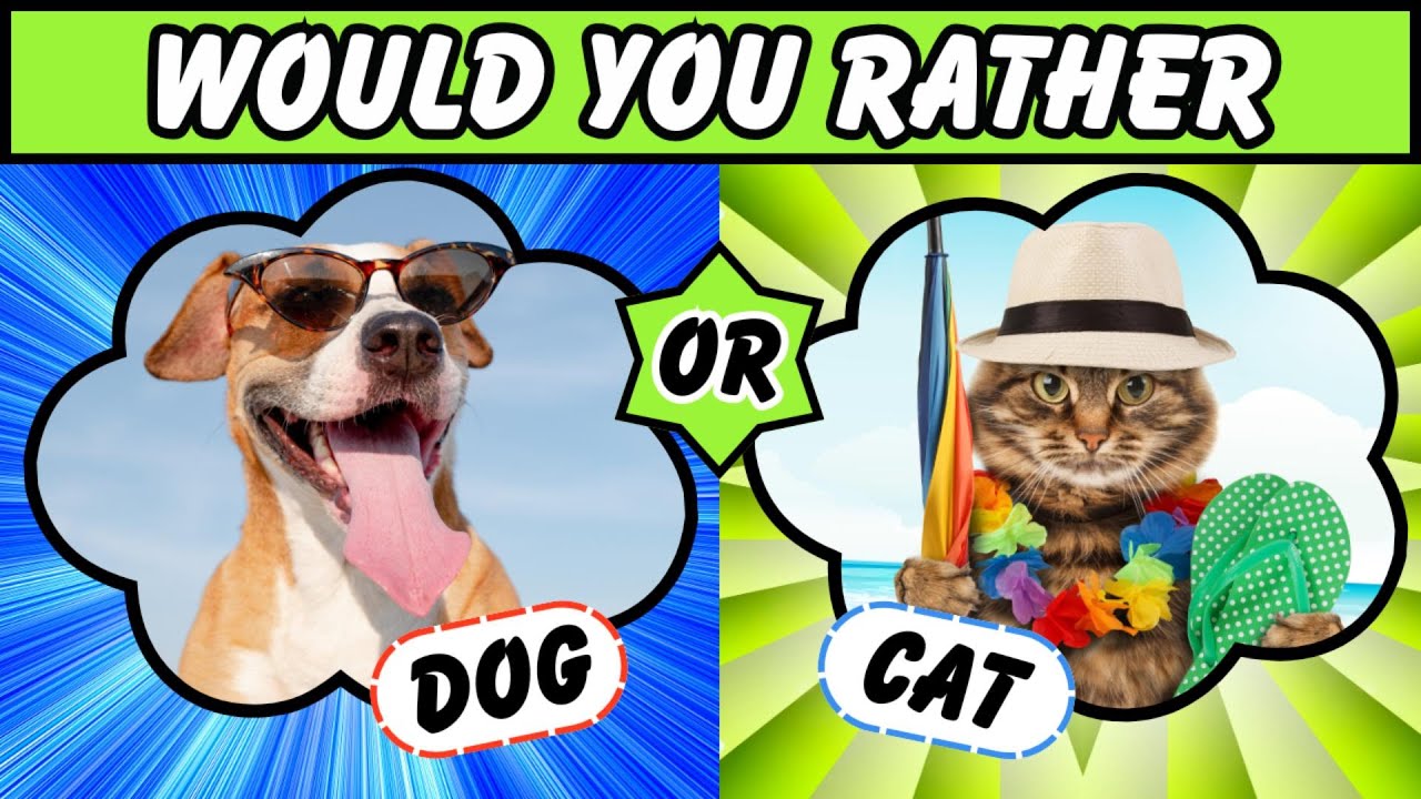 Would You Rather...? Dog & Cat Edition 🐶🐱 - YouTube