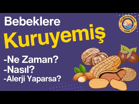 Bebeklere Kuruyemiş İlk Ne Zaman Verilir? Nasıl başlamalı?Alerji Yapar mı?