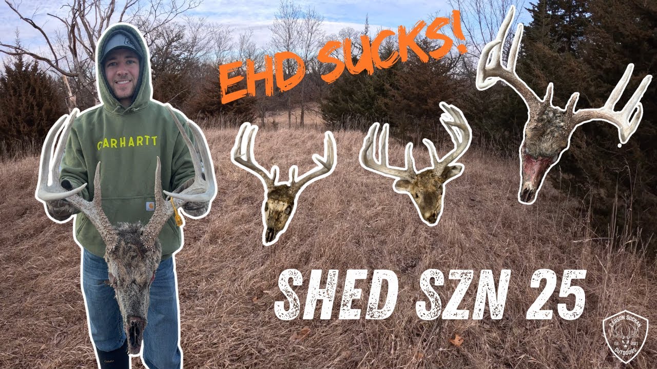 IOWA SHED HUNTING | 2025 | EHD and EARLY DROPS! - YouTube