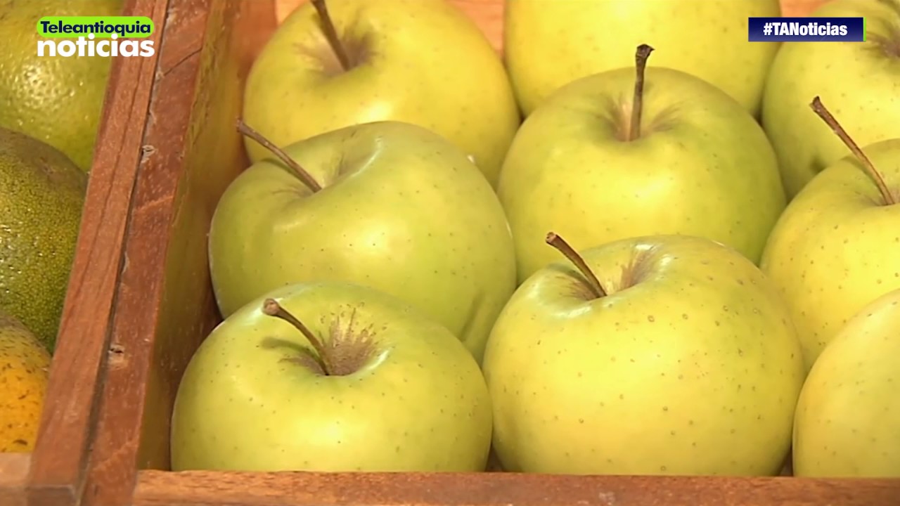 Biofrut, una idea emprendedora que promueve hábitos saludables - YouTube