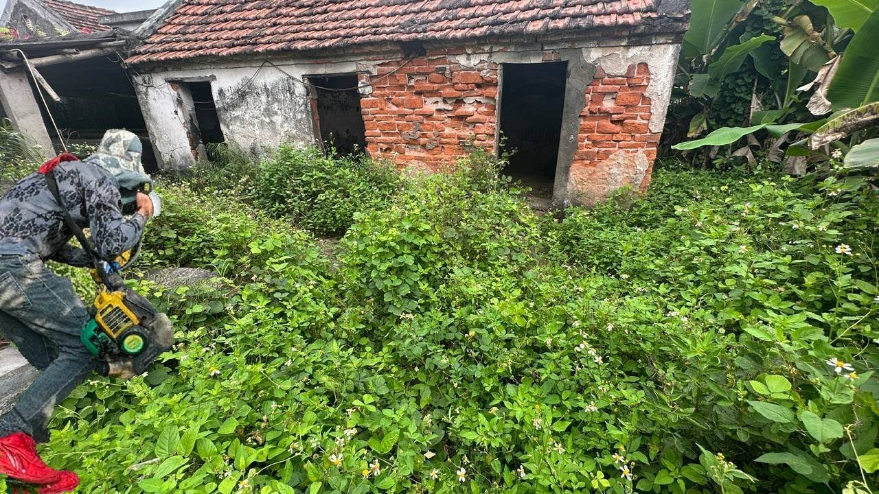 horror rumors abandoned house by the river when we cleared the grass ...