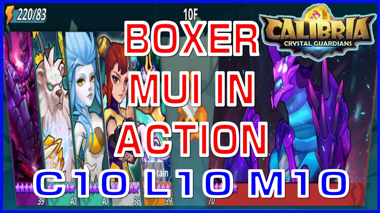 Spotlight on boxer mui, C10 L10 M10 see boxer mui in action (calibria ...