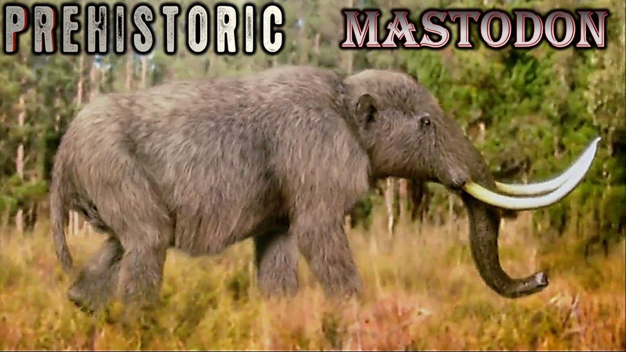 prehistoric mastodon screen time - YouTube